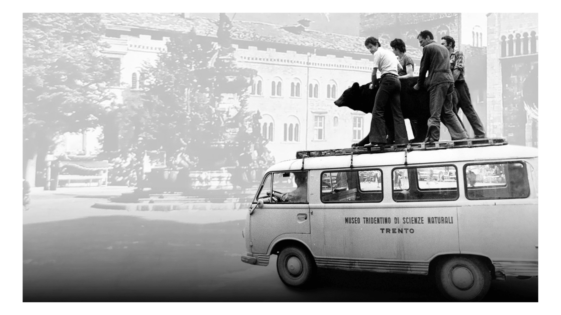 Colophon mostra MUSE 100, 2023 | Muse - Museo delle Scienze di Trento