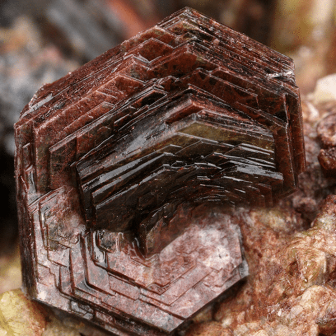 GEOdi - Geologia digitale, 2023 | Muse - Museo delle Scienze di Trento