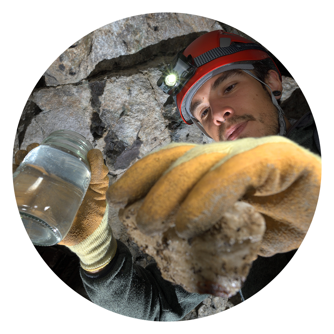 Ragni, opilioni, scorpioni | Muse - Museo delle Scienze di Trento